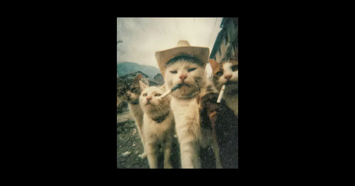 Funny Cat Smoking Cigarette Meme Selfie Vintage Cute Kitty - Funny Cat ...