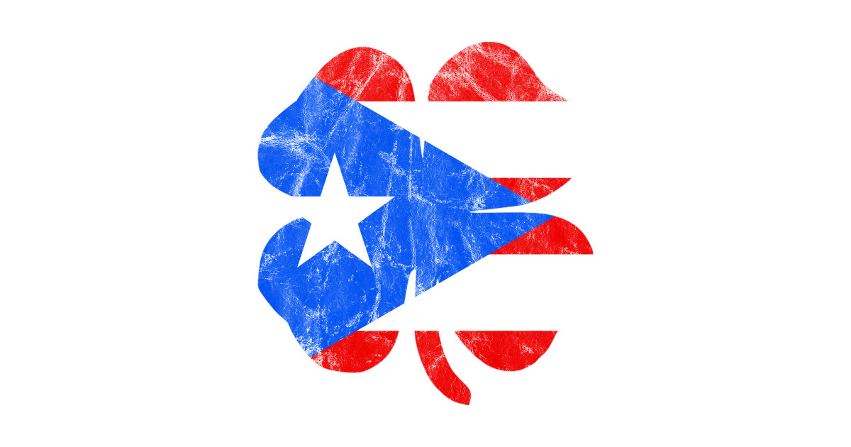 Irish Puerto Rican Pride Shamrock Puerto Rico Flag Boricua St Patricks ...