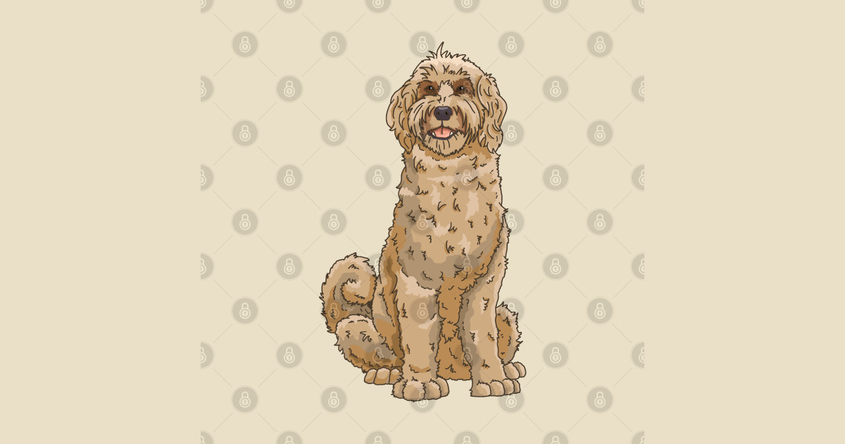 Labradoodle cartoon drawing - Labradoodle - T-Shirt | TeePublic