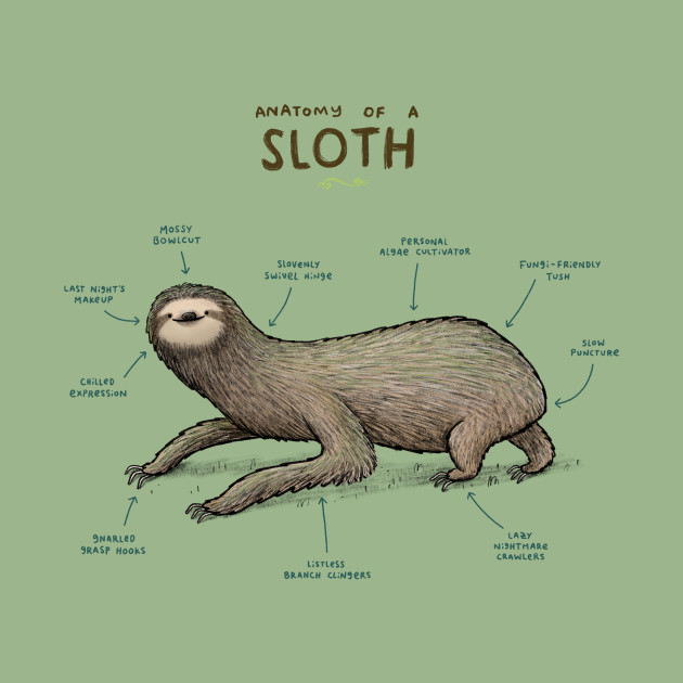 Anatomy of a Sloth - Sloth - Tank Top | TeePublic