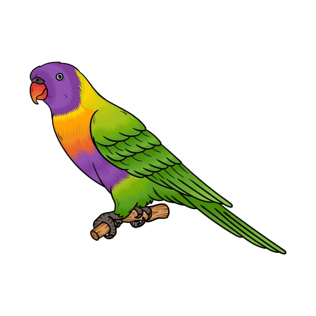 Rainbow lorikeet bird cartoon illustration - Rainbow Lorikeet Bird ...