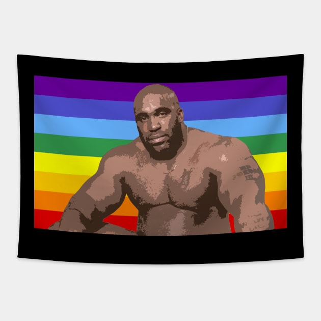 Barry Wood LGBT Flag - Barry Wood - Tapestry | TeePublic
