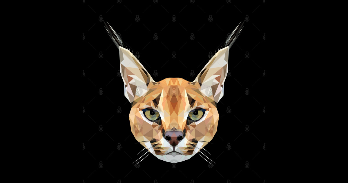 Caracal Low Poly Art - Caracal - Posters and Art Prints | TeePublic