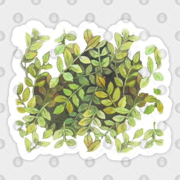 Ash Tree Leaves - Ash Tree - Sticker | TeePublic
