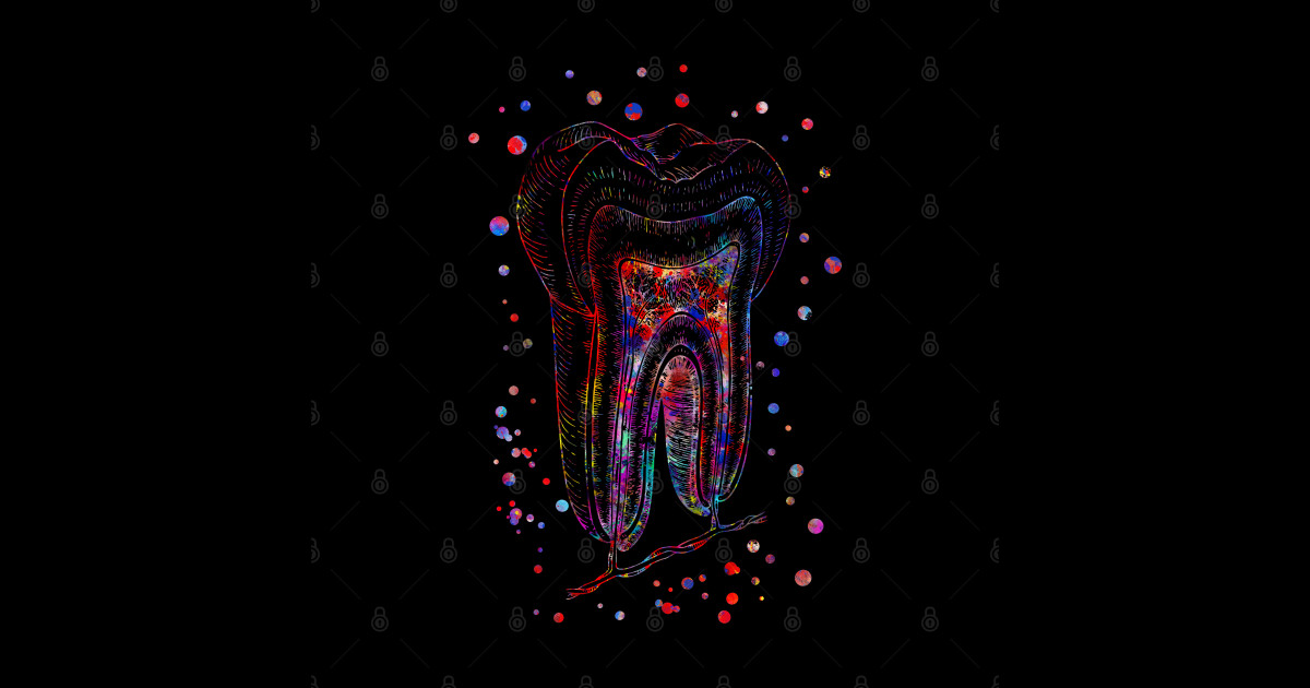 Human tooth structure - Human Tooth Structure - Sticker | TeePublic