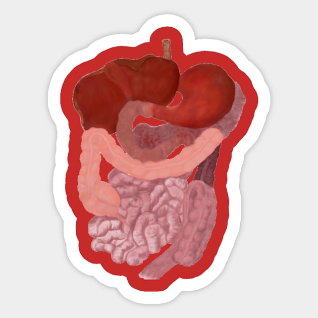 Digestive system aesthetic - Anatomy - Sticker | TeePublic
