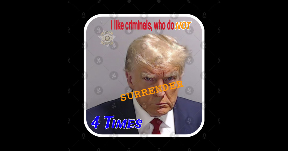 I Like Criminals Who Do NOT SURRENDER 4 Times - Back - Never Surrender ...