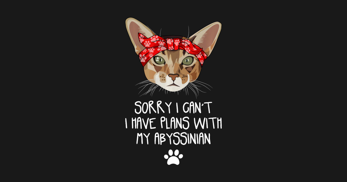 S2 Abyssinian Cat (39) - Abyssinian Cat - T-Shirt | TeePublic