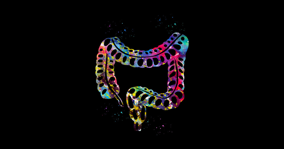 Lower gastrointestinal tract - Gastrointestinal - Sticker | TeePublic