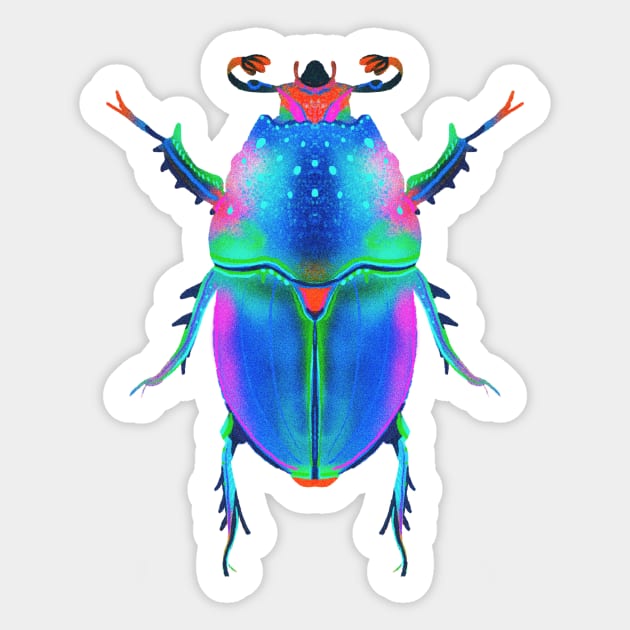 Aesthetic Beetle Painting - Trippy Design - Sticker | TeePublic
