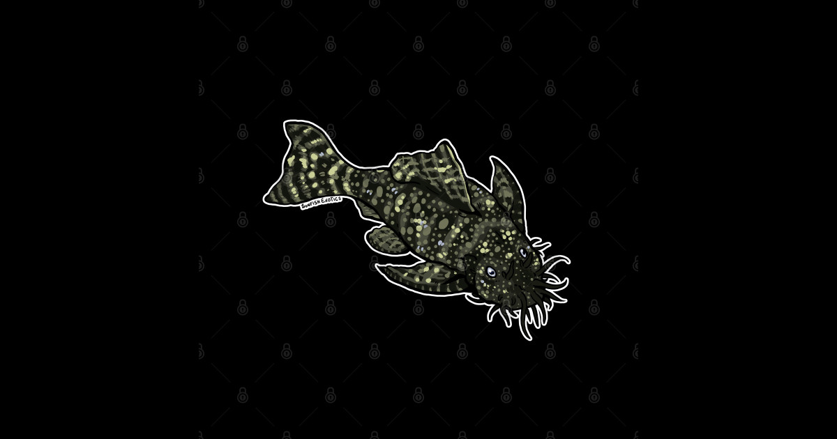 Bristlenose Pleco - Pleco - Sticker | TeePublic
