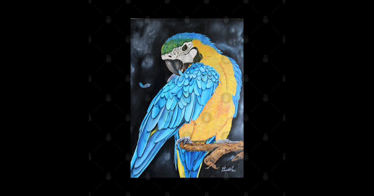 Macaw 1 - Macaw - Sticker | TeePublic