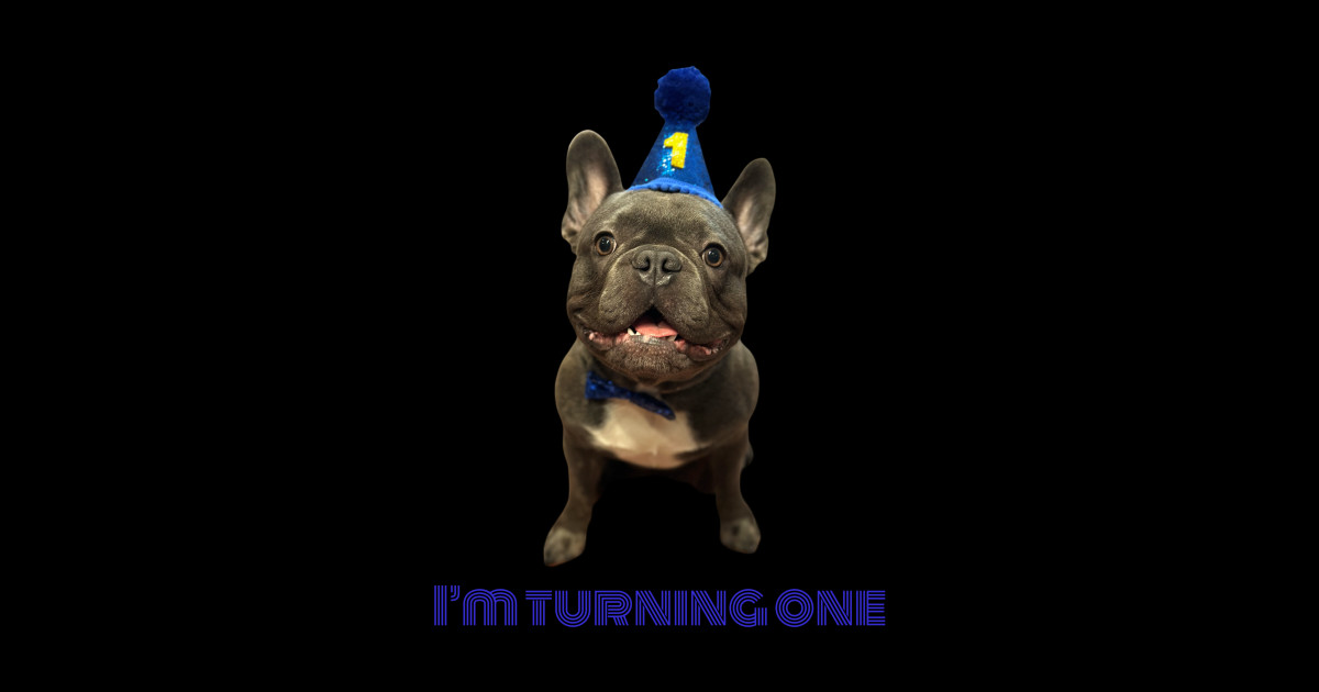I'm turning one! - Turning 1 - Sticker | TeePublic