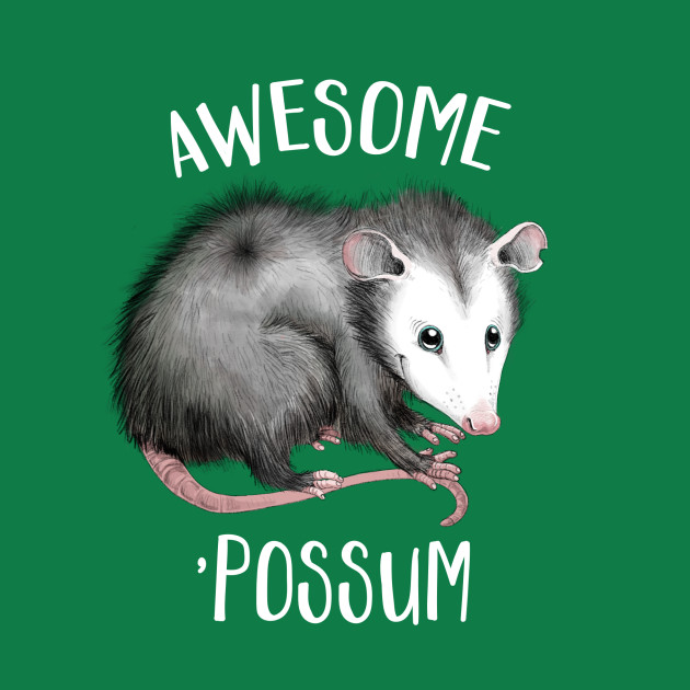 Awesome Possums
