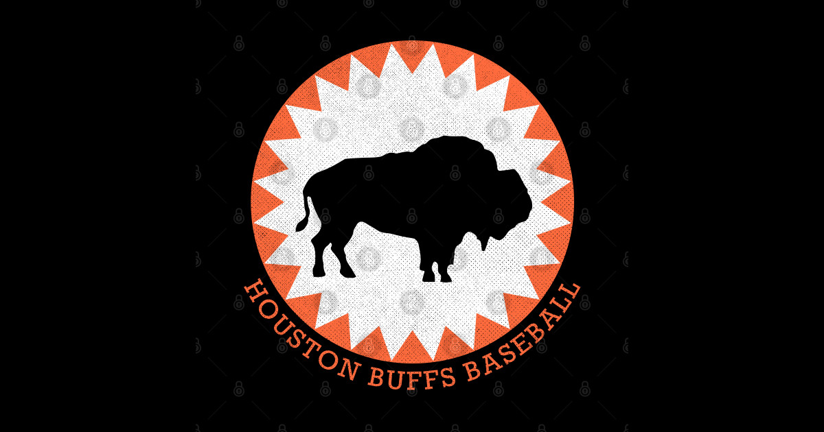 Defunct Houston Buffs (Buffalos) Minor League Baseball 1950 - Texas ...