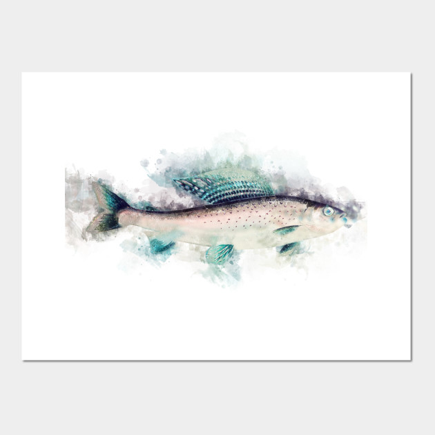 Arctic GRAYLING Watercolor Art for the Fishing Lovers and Anglers ...