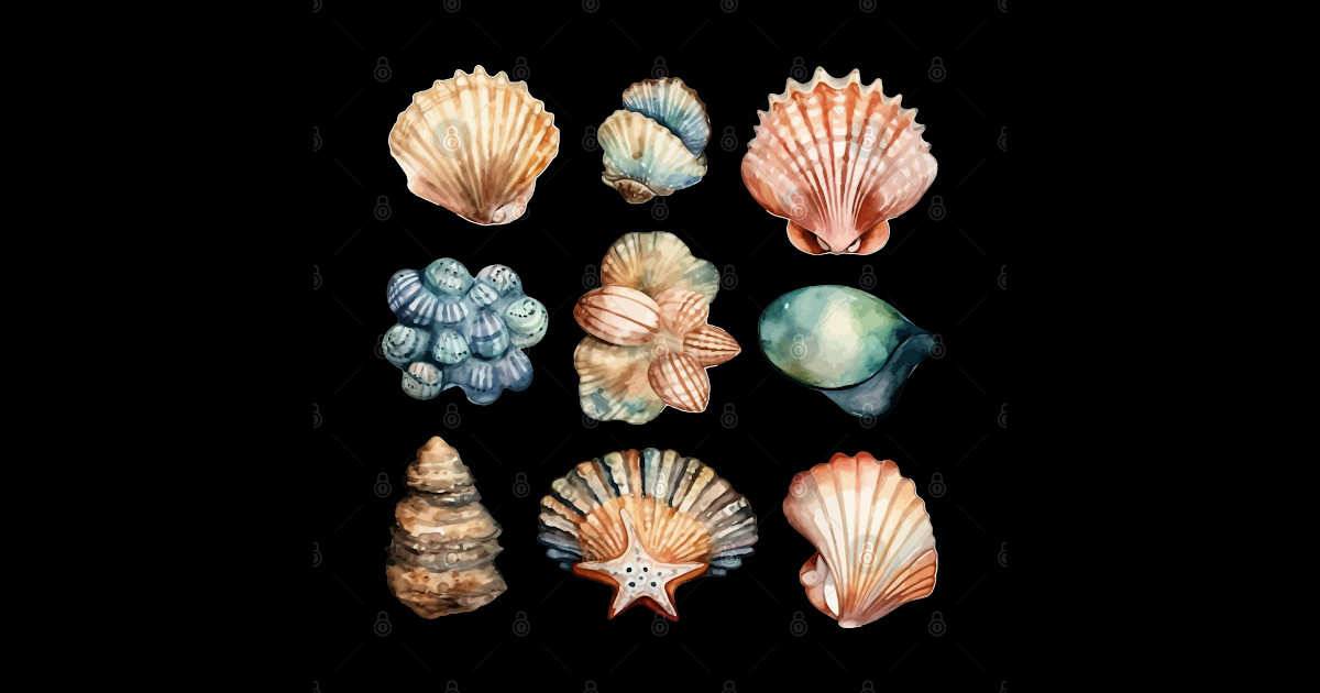 Seashells Beautiful Watercolor - Seashells Beautiful Watercolor ...