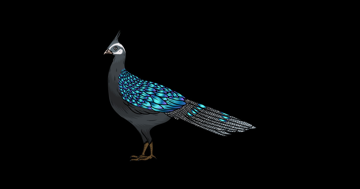 Palawan peacock pheasant bird cartoon illustration - Palawan Peacock ...