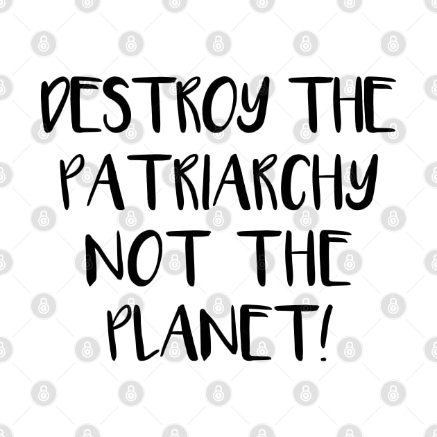 DESTROY THE PATRIARCHY NOT THE PLANET feminist text slogan - Feminism ...