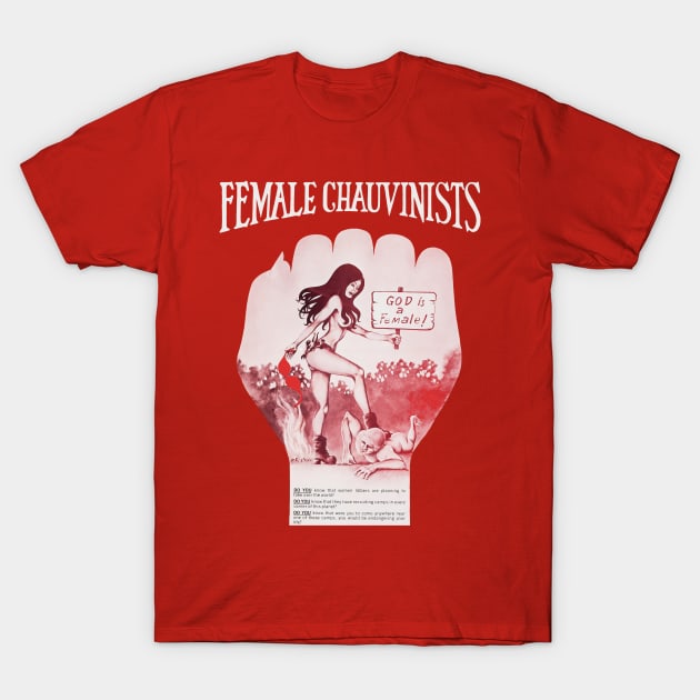 Female Chauvinists - Feminism - T-Shirt | TeePublic