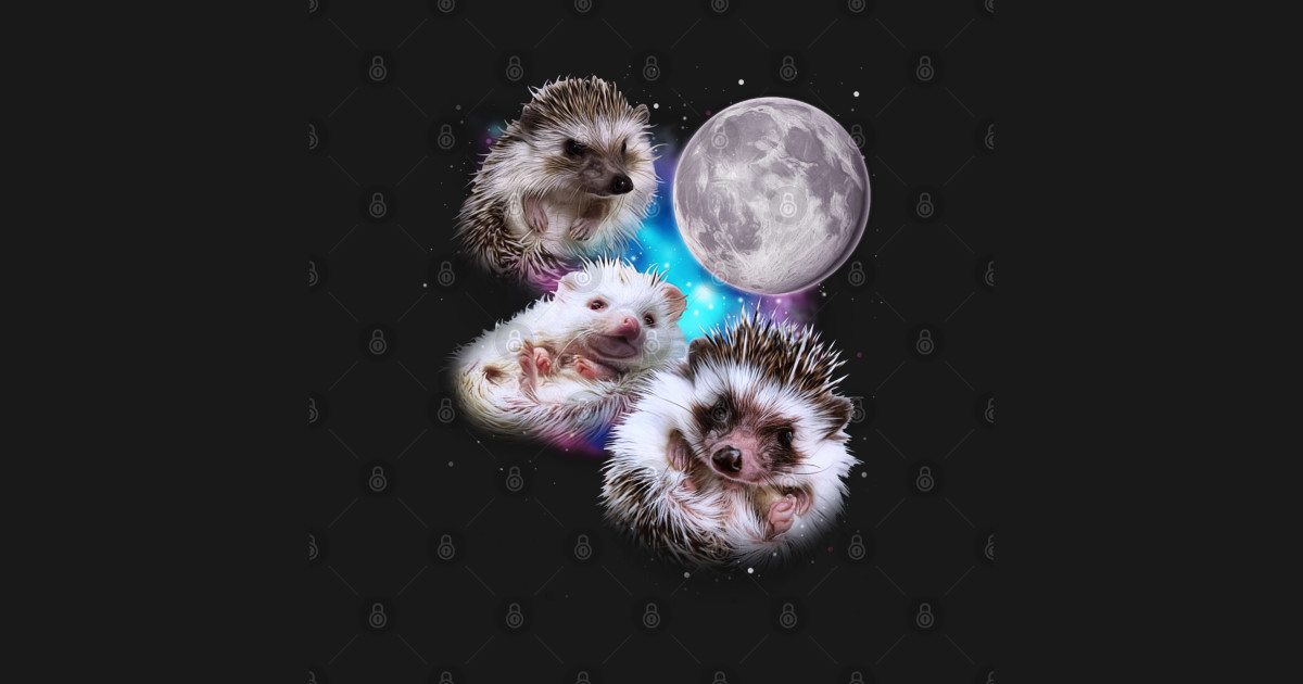 Three Hedgehogs Howl at the Moon - Hedgehog - T-Shirt | TeePublic