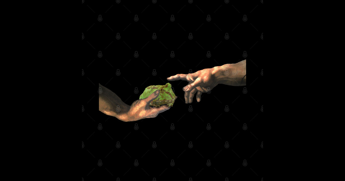Creation of Horned Frog - Frog Memes - Sticker | TeePublic