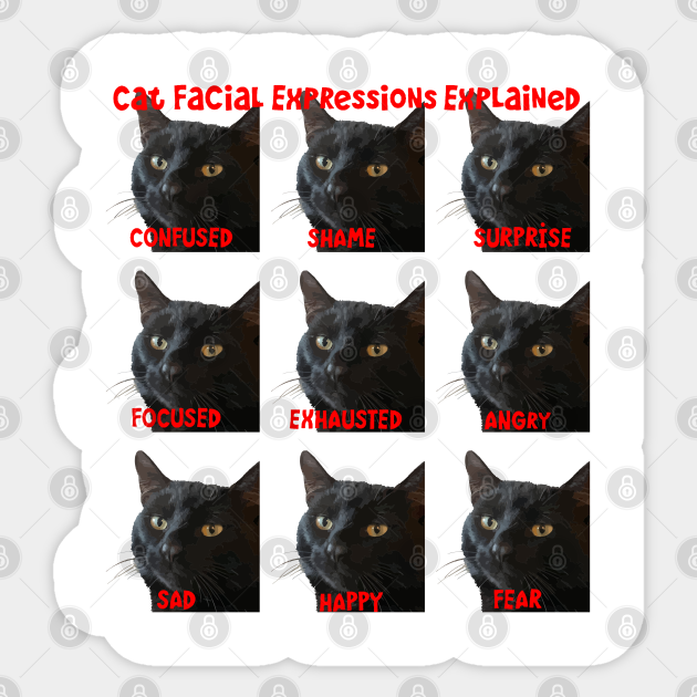Cat Facial Expressions Explained Chart Cut Out - Cat Humor - Sticker ...