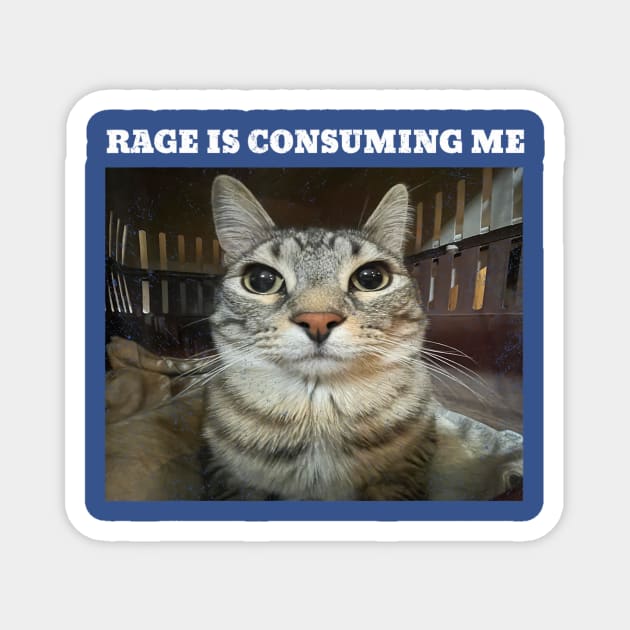 Rage Is Consuming Me Cat Meme - Rage Is Consuming Me Cat Meme - Magnet ...