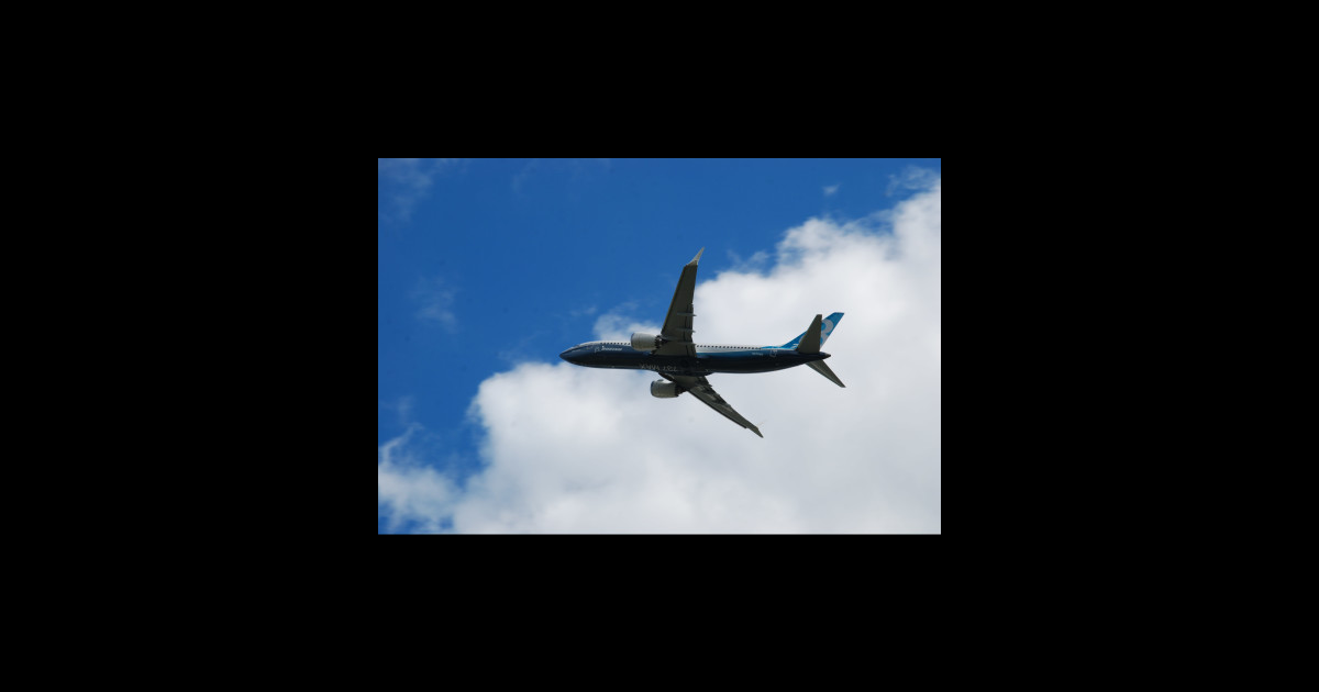 Boeing 737 Max - Boeing 100 years - Boeing - Posters and Art Prints ...