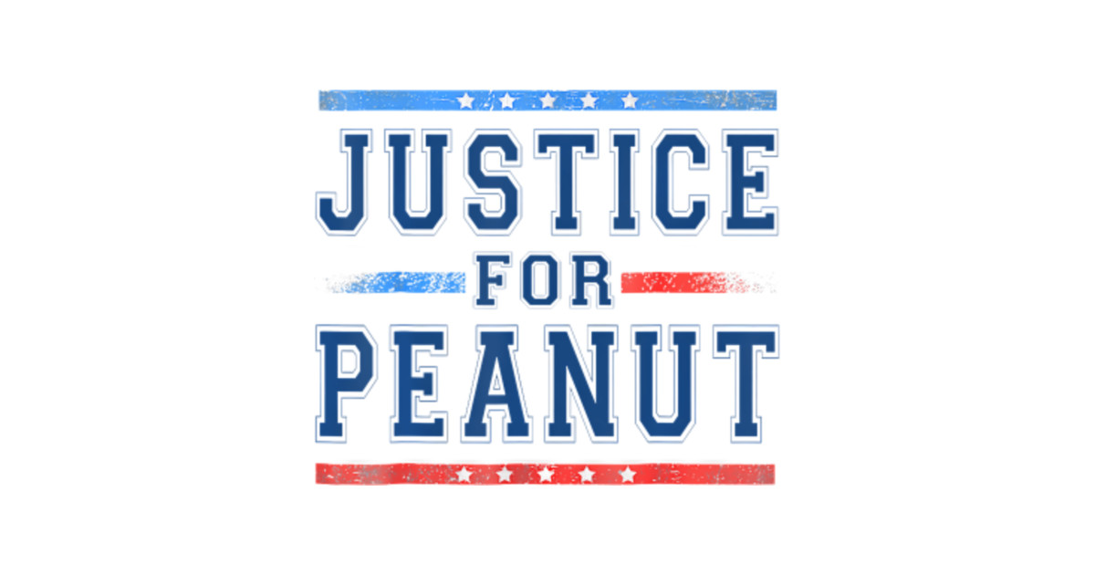 Justice For Peanut The Squirrel funny - Justice For Peanut - T-Shirt ...