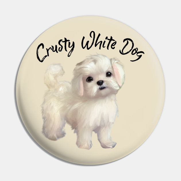 Just A Cute Little Crusty White Dog with Fluffy Curly Hair - Crusty ...