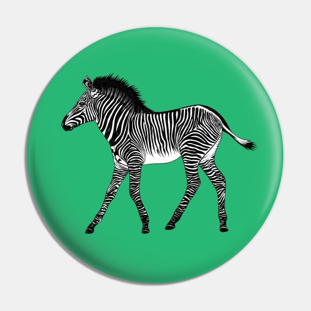 Zebra foal - ink illustration - Zebra - Pin | TeePublic