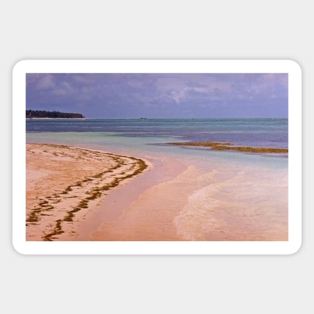 pink soft sand.. - Water - Sticker | TeePublic