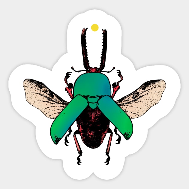 Sun's Beetle - Beetle - Sticker | TeePublic
