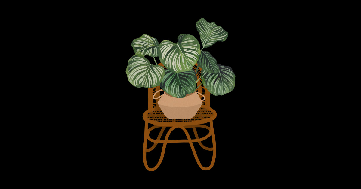 Calathea Plant 3 - Plants - Sticker | TeePublic
