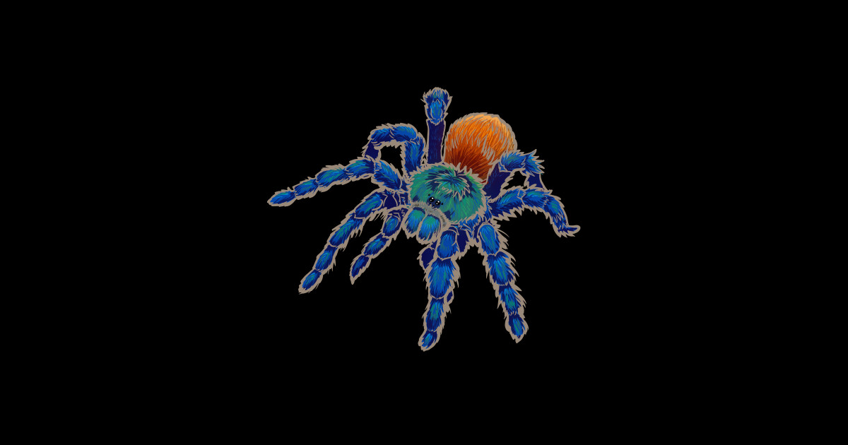 Greenbottle Blue Tarantula with Khaki Outline - Greenbottle Blue ...
