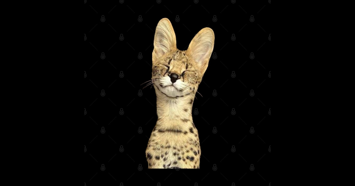 Sogga My Beloved Serval Meme Cat Meme - Sogga My Beloved - Hoodie ...