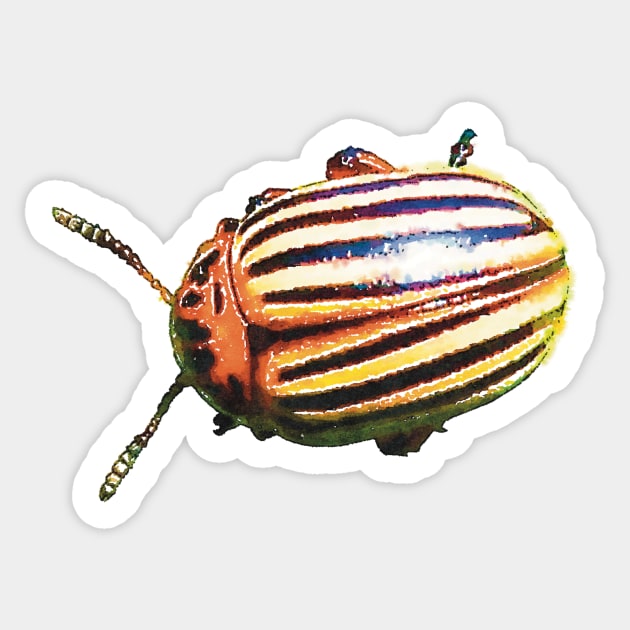 Potato Beetle - Potato Bug - Sticker | TeePublic
