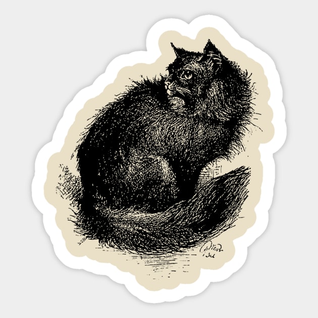 A Gentle Fuzzy Cat - Cat Lady - Sticker | TeePublic