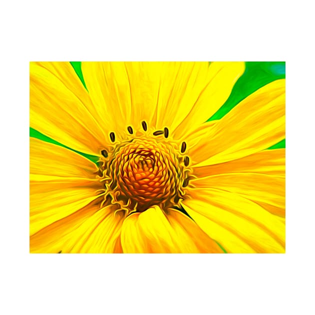 Bright as a Button Stylized - Daisy - T-Shirt | TeePublic