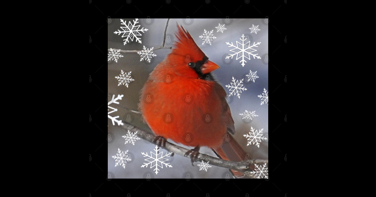 Cardinal Art Beautiful Heaven Sent Messengers From Heaven Male Red ...