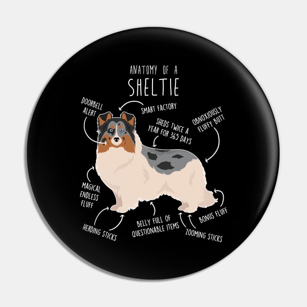 Blue Merle Sheltie Shetland Sheepdog Anatomy - Sheltie - Pin | TeePublic