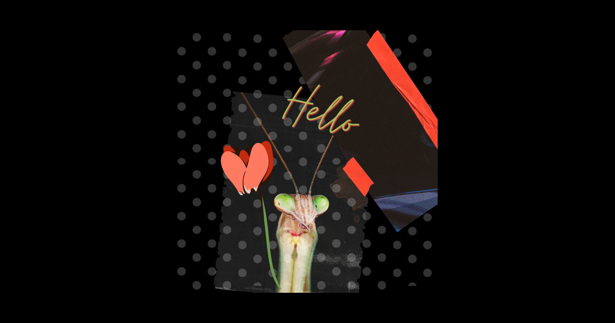 Praying Mantis says Hello - Hello - Sticker | TeePublic