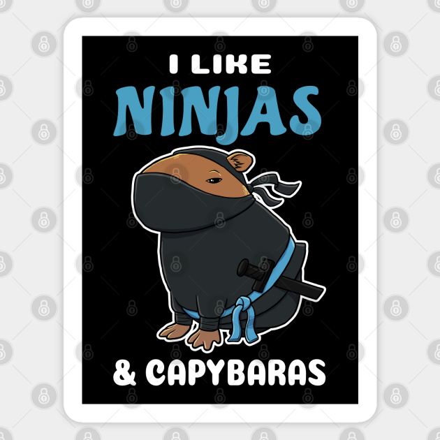I Like Ninjas and Capybaras Cartoon - Funny Capybara - Sticker | TeePublic