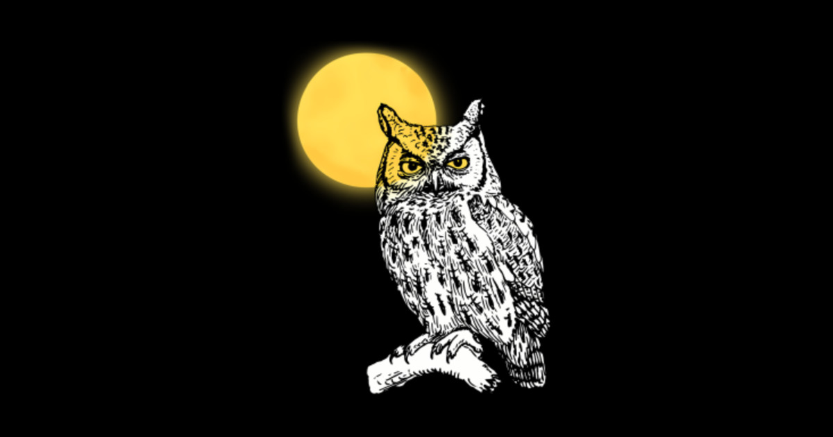 Flaco Owl And Moon - Retro Owl - Sticker | TeePublic