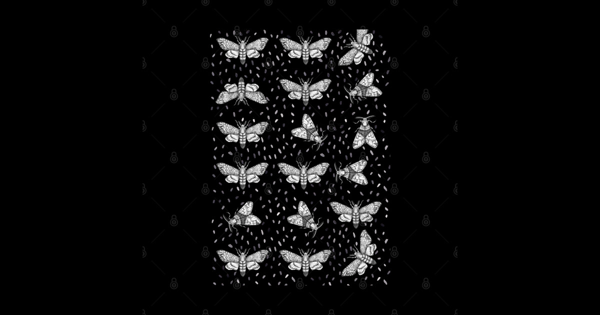 Moths pattern - Moth - Posters and Art Prints | TeePublic
