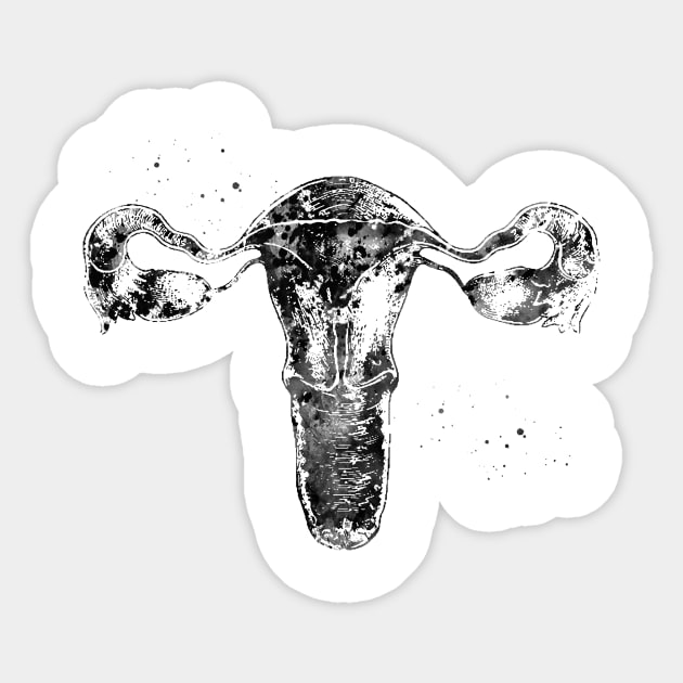 Female Reproductive System - Uterus - Sticker | TeePublic