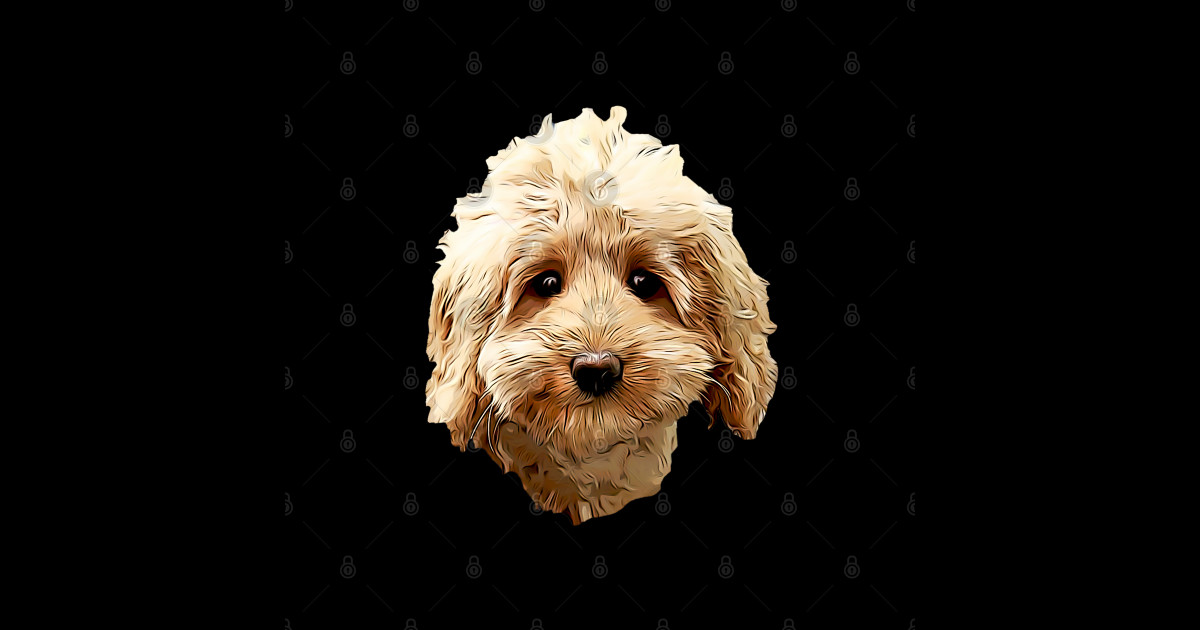 Cavapoo Cockapoo Doodle Cuteness - Doodle - Sticker | TeePublic