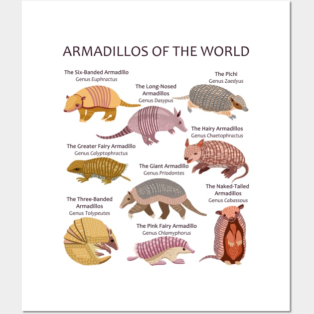 Armadillo Species of the World (light background) - Armadillo - Posters ...