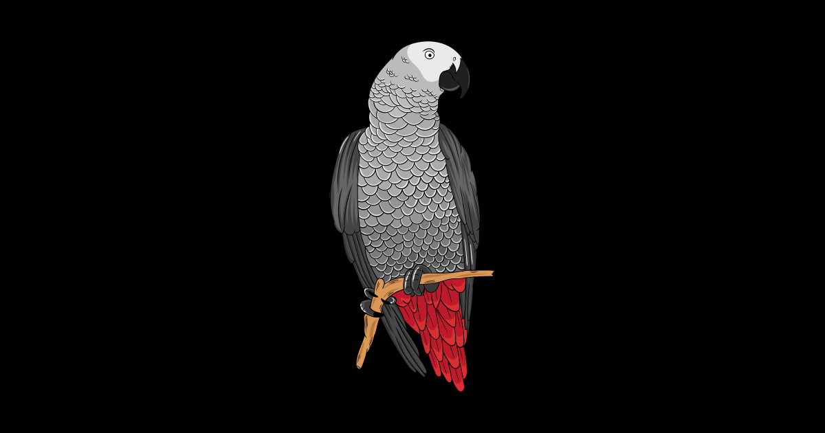 African grey parrot cartoon illustration - African Grey Parrot Cartoon ...